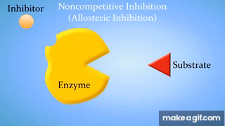 Non-Competitive/Allosteric enzyme inhibition on Make a GIF
