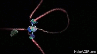 How DNA Copies Itself on Make a GIF