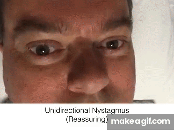 The HINTS exam on Make a GIF
