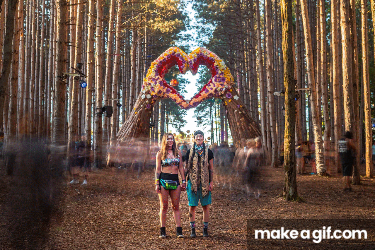 EF2019 FACES OF THE FOREST on Make a GIF