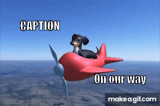 Flying Weiner Dog on Make a GIF