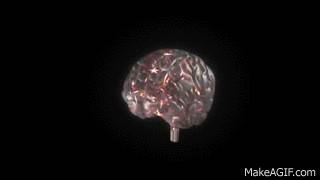 synaptic firing on Make a GIF
