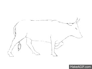 Animated cow walk in 2D. on Make a GIF