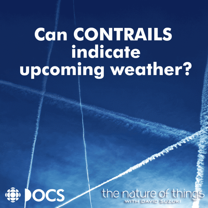 contrails on Make a GIF