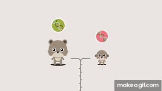 How Evolution works on Make a GIF