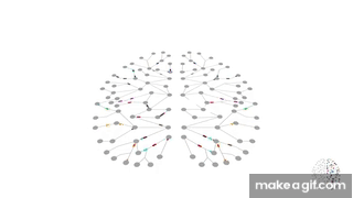 Neuroplasticity Explained on Make a GIF