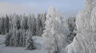 Nature Gifs on Make a GIF