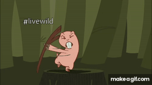 LIVE WILD on Make a GIF