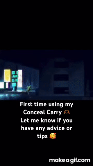 Another easily justifiable use of conceal carry on Make a GIF