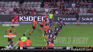Super Rugby | Top Tries | 2016 on Make a GIF