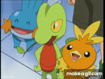 Pokemon - Treecko, Torchic, and Mudkip on Make a GIF
