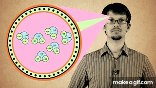 Water - Liquid Awesome: Crash Course Biology #2 on Make a GIF
