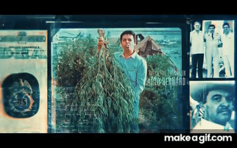 NARCOS Mexico | Opening Credits / Intro | NETFLIX on Make a GIF