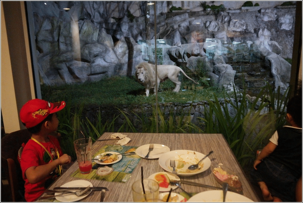 Dining with White Lions at Simba Hill Gourmet Hall Bukit Gambang on ...