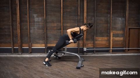 Chest Supported Dumbbell Row on Make a GIF