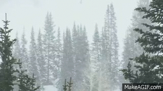 (HD) Snow falling in pine forest from window on Make a GIF