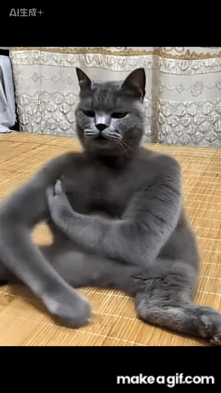 the russian cat on Make a GIF