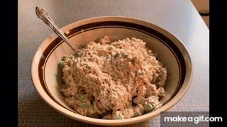 DFLC: Ruby's Tuna "Oh That Gus!" Inc. London Calling Inc. Nickelodeon ...