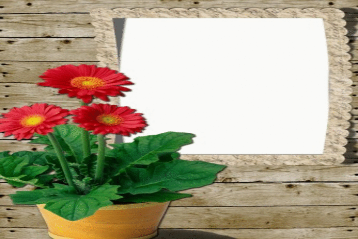 fffffff on Make a GIF