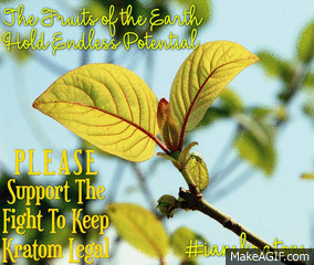 Iamkratom on Make a GIF