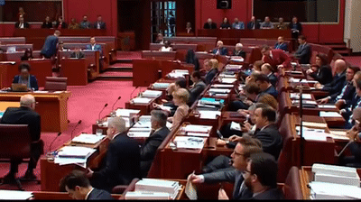 Pauline Hanson wears a burqa into the Australian Senate on Make a GIF