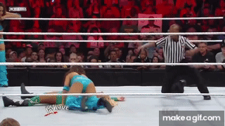 WWE Monday Night RAW - The Bella Twins vs Laycool 10-04-2010 on Make a GIF