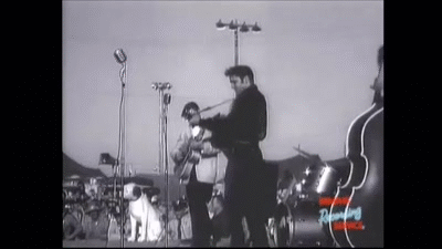 Elvis Presley Live at Tupelo 1956 on Make a GIF