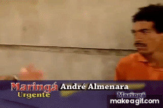 Galo Cego - Daniel Orivaldo da Silva on Make a GIF
