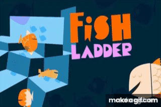 DFLC: Fish Ladder/Jesse Collins Entertainment/Game Show Enterprises ...