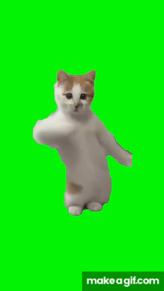 Dancing Cat Meme | Green Screen on Make a GIF