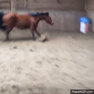 rollback on Make a GIF