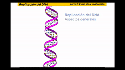 Replicacion del DNA (Español) on Make a GIF