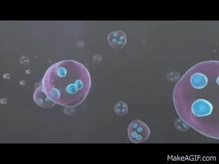 Dopamine and the Brain on Make a GIF