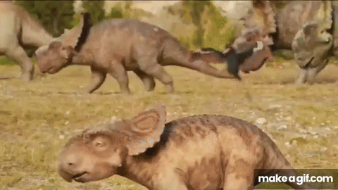 WWD Movie Gorgon and his pack getting prepared (My Edition) on Make a GIF