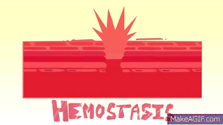 How a wound heals itself - Sarthak Sinha on Make a GIF