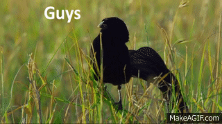 Lemme Smash II Final Mix on Make a GIF