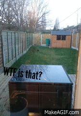WTF is that in my garden??? on Make a GIF