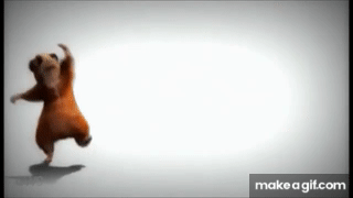 Dancing Guinea Pig on Make a GIF