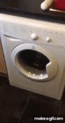 Washing machine drops sick beat on Make a GIF