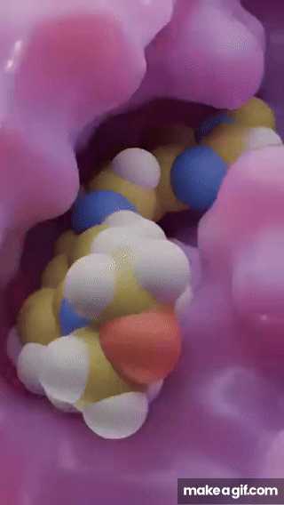 Kinase inhibitor protein-ligand simulation on Make a GIF