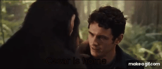 Caesar is home..I'm home. on Make a GIF