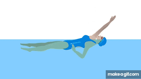 How to Swim Backstroke For Beginners on Make a GIF