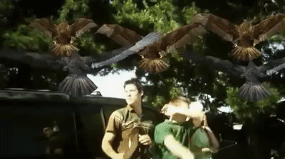 BIRDEMIC: The Best Worst Movie Ever - JonTron on Make a GIF