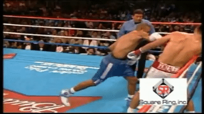 Roy Jones Jr Windmill Punch on Make a GIF