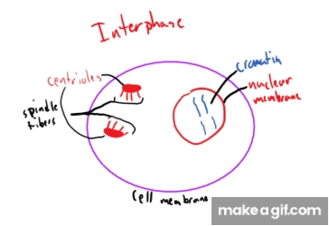 Science Gif on Make a GIF