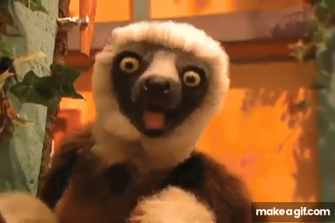 Zoboomafoo: Tracks on Make a GIF
