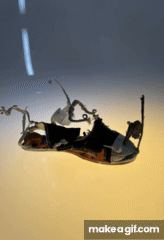 turnaround reconstructed shoe on Make a GIF
