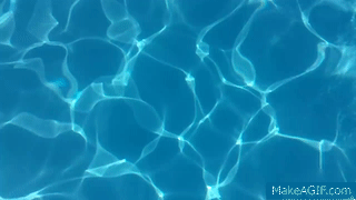 HD Water in Swimming-Pool Footage Loop on Make a GIF