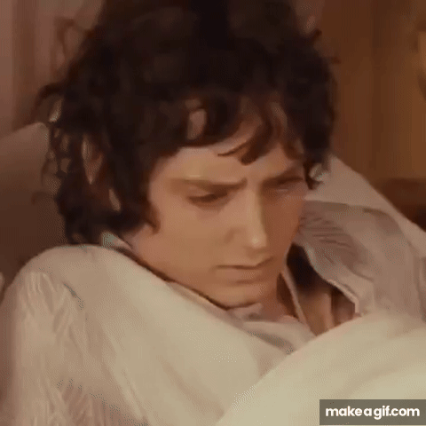 Gandalf - I was delayed on Make a GIF