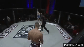 The 9 Fastest Knockouts In MMA History on Make a GIF